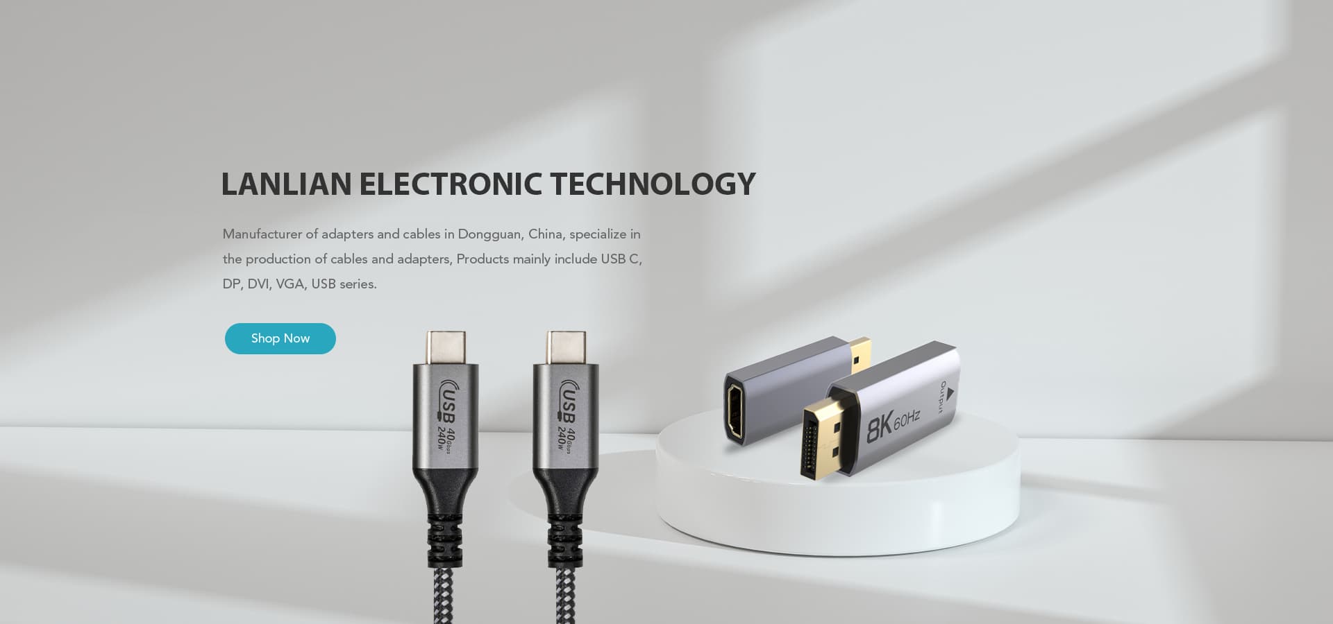 Manufacturer of Adapters and Cables USB C, DP, DVI, VGA, USB Series